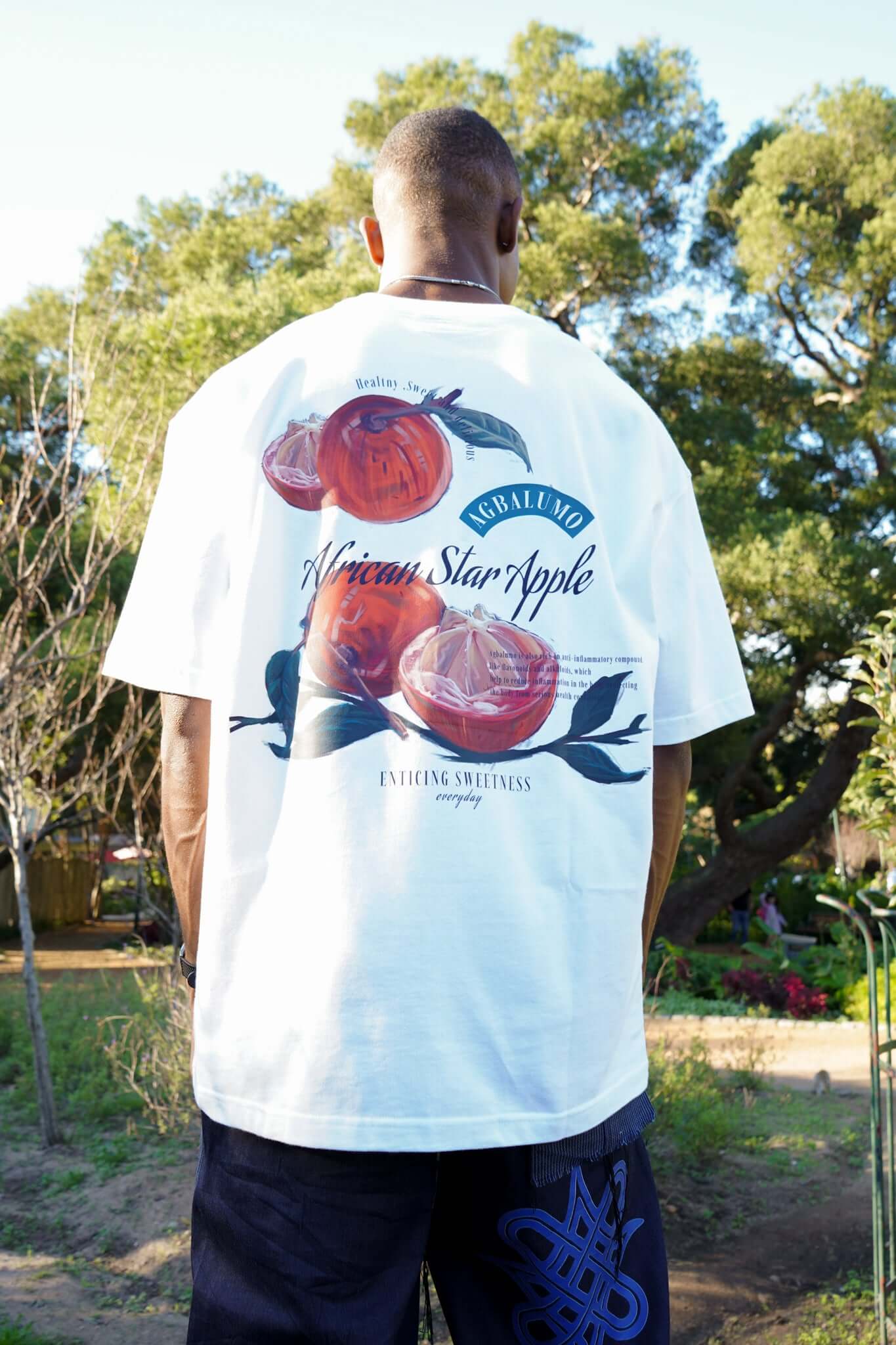 Savouring the Rich Essence of Africa Star Apple: The Agbalumo Capsule